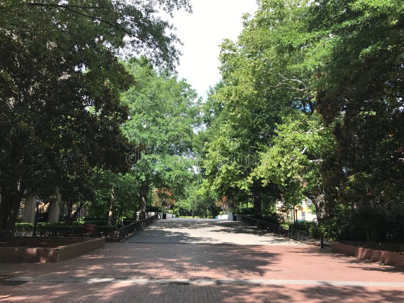 The Beautiful Campus of the University of South Carolina Editorial ...