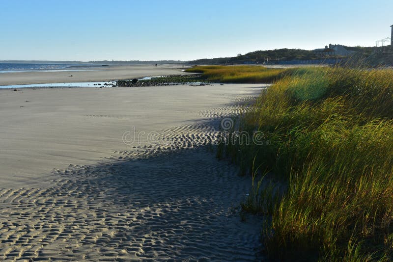 Beautiful Cape Cod Beach with Flowing Beach Grass Stock Image - Image ...