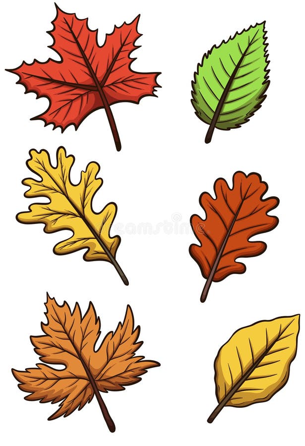 Fall Leaves Set. Vector Illustration with Simple Gradients. Stock ...