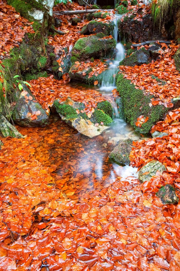Beautiful Cascade Waterfall in Autumn Forest Stock Image - Image of ...