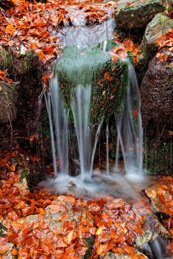 Beautiful Cascade Waterfall in Autumn Forest Stock Image - Image of ...