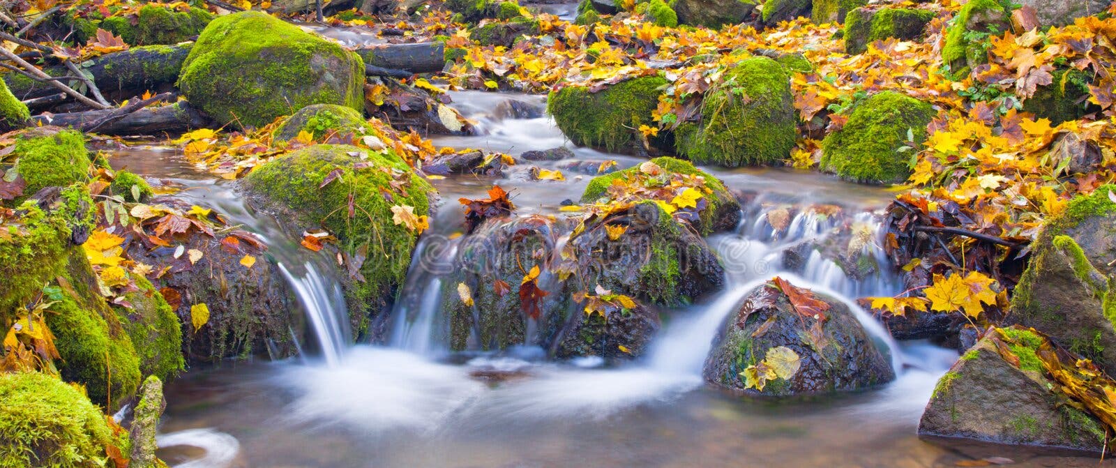 Waterfall in Autumn Forest stock image. Image of flowing - 18310071