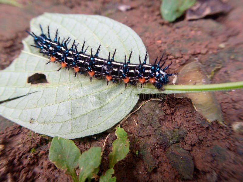 Close Range Shot of Wraped Up Present with Blurred Lights in the ...