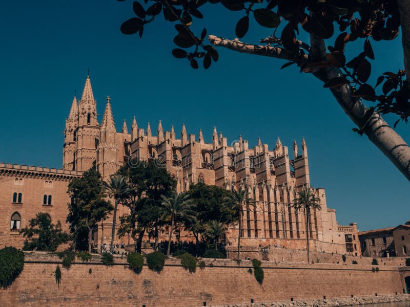 Beautiful Cathedral in Palma De Mallorca with Palm Trees in the Front ...