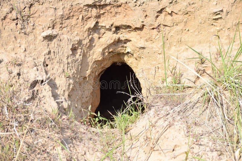 A Cave in sandy Soil stock photo. Image of specialist - 177505144