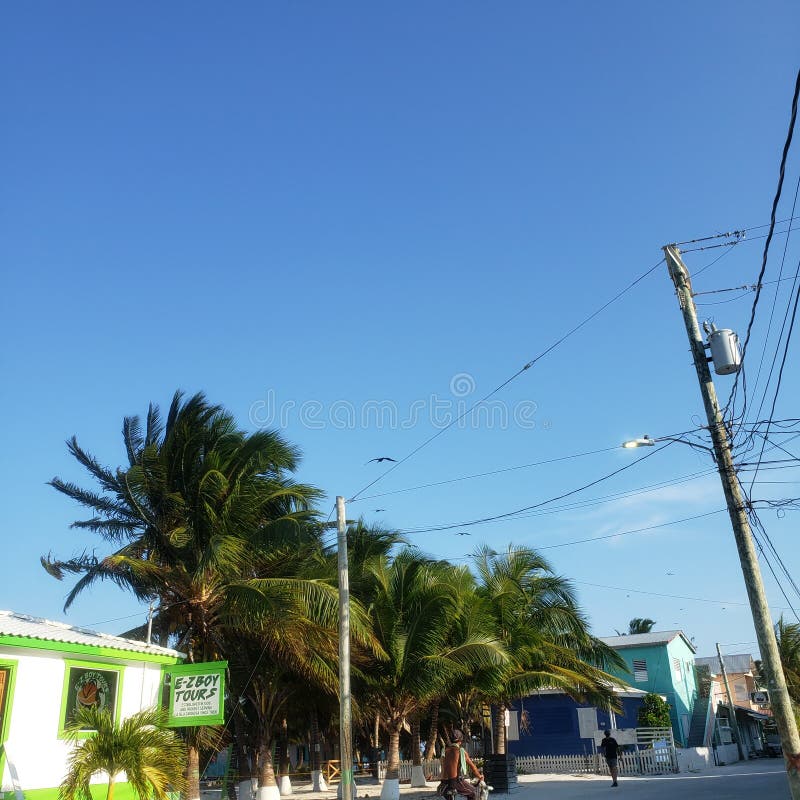 Beautiful Caye caulker editorial stock image. Image of vehicle - 216621984