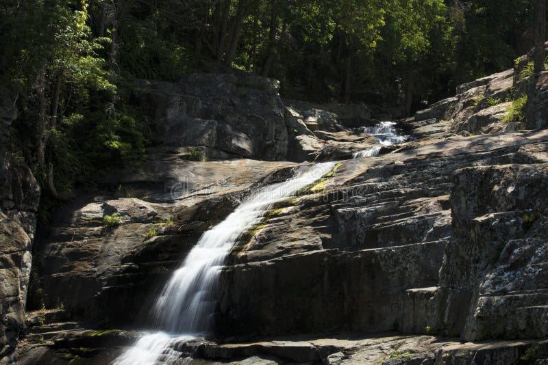 Cedar Creek In Samford, Queensland. Stock Image - Image of forest, calm ...