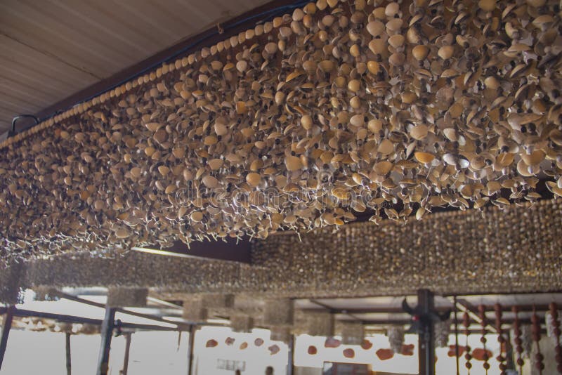 Beautiful Brazilian Ceiling Decoration Made with Sea Shells Stock Image ...