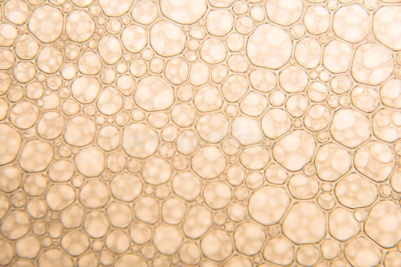 Beautiful Champagne Gold Bubbles Texture Stock Image - Image of ...