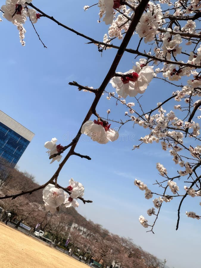 Arifrumi72 - Photographer profile