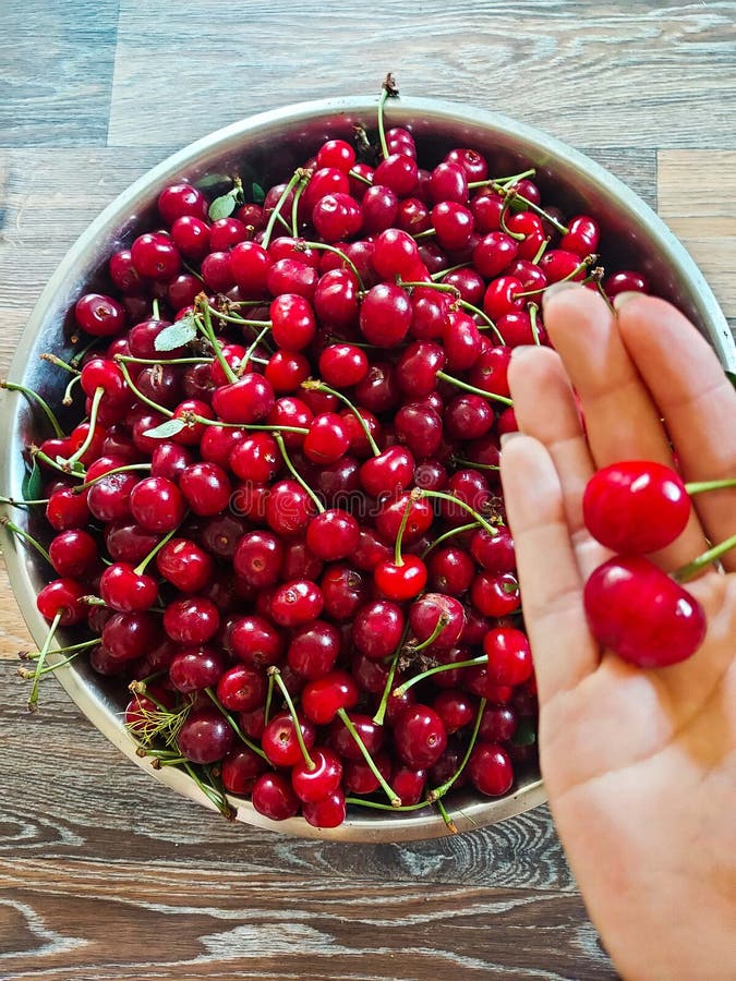 A Cherry with the Hand Behind Stock Image - Image of limb, organic ...