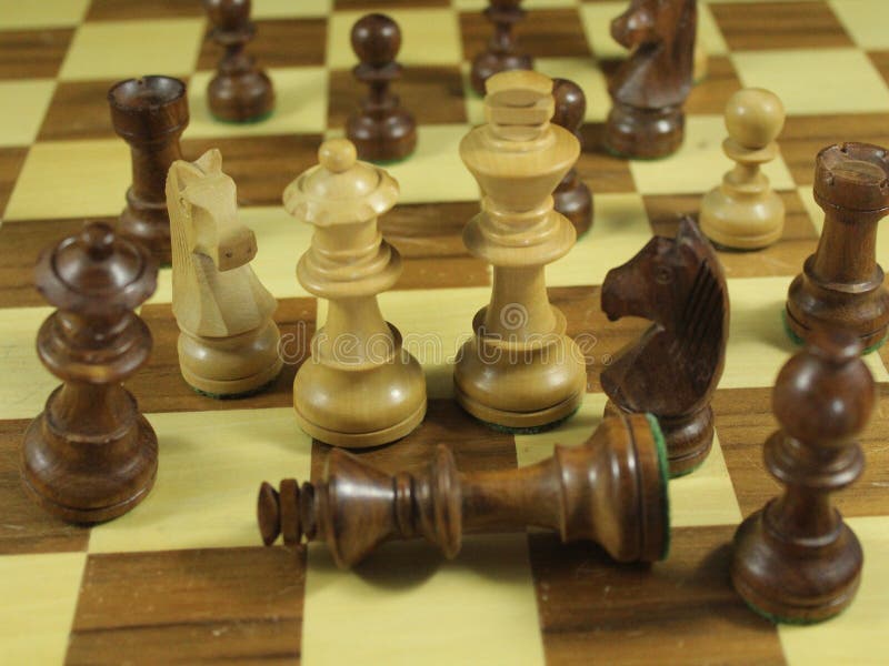 Beautiful Chess Game with Different Figures Strategy Fun Culture Stock ...