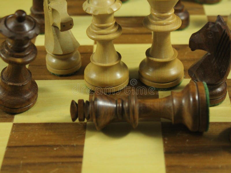 Beautiful Chess Game with Different Figures Strategy Fun Culture Stock ...