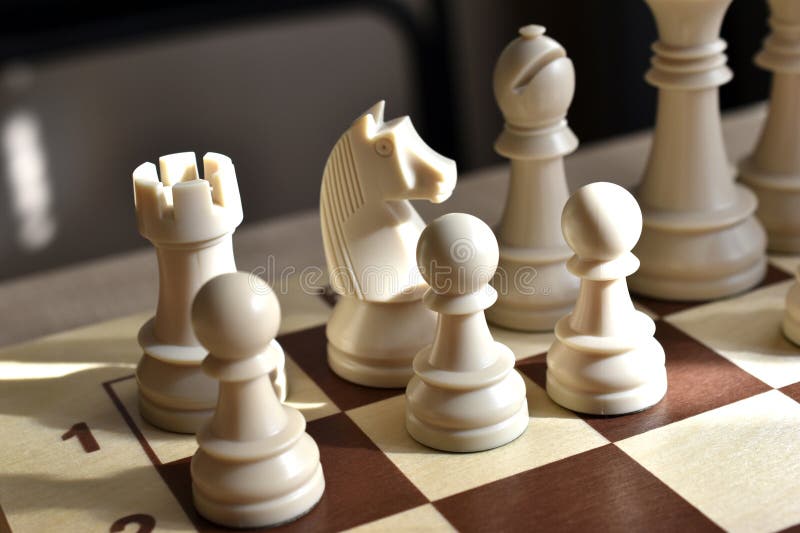 Beautiful Chess Pieces on the Board. the Chessboard Stock Image - Image ...