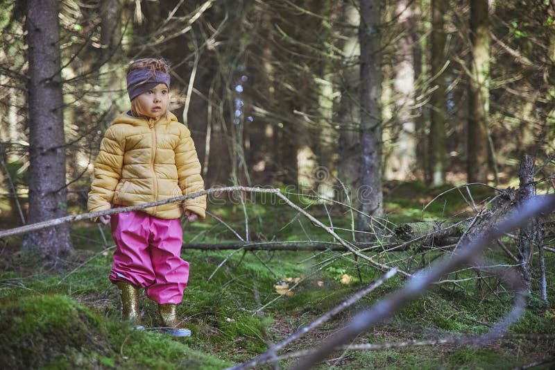 Beautiful Child in the Forest in Denmark Stock Image - Image of alone ...