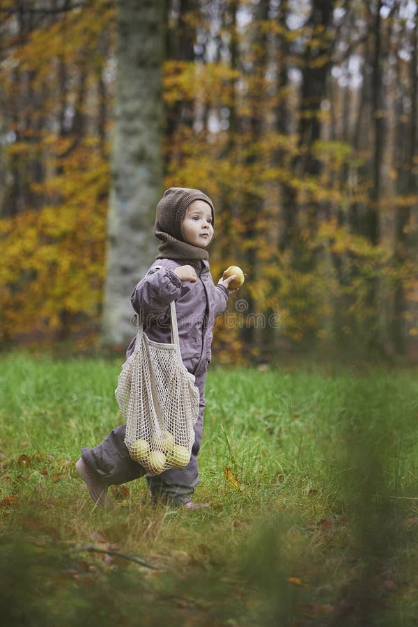 Beautiful Child in the Forest in Denmark Stock Image - Image of casual ...