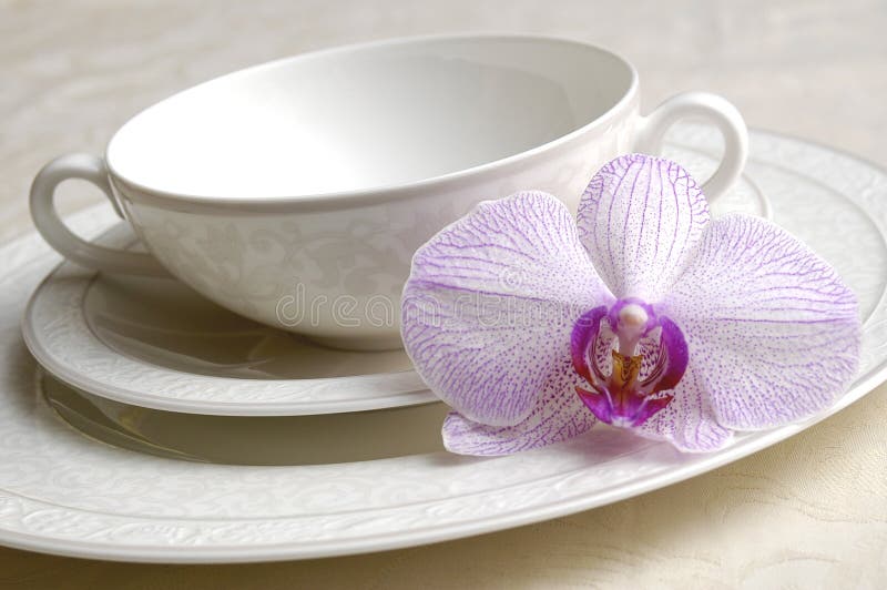 Beautiful china set stock photo. Image of kitchen, luxurious - 12318270