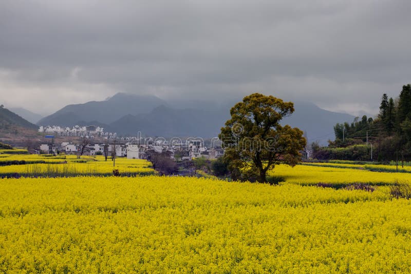 Beautiful Chinese Rural Landscape Stock Photo - Image of china, nature ...