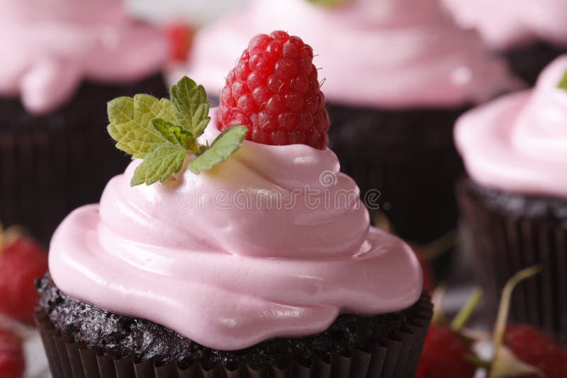 Beautiful Chocolate Cupcakes with Raspberry Macro. Horizontal Stock ...