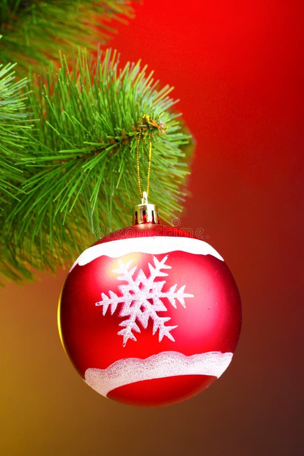 Beautiful Christmas Red Ball on Fir Tree Stock Image - Image of ...