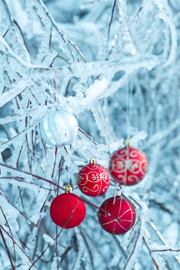 Beautiful Christmas Red Balls Stock Image - Image of holiday ...