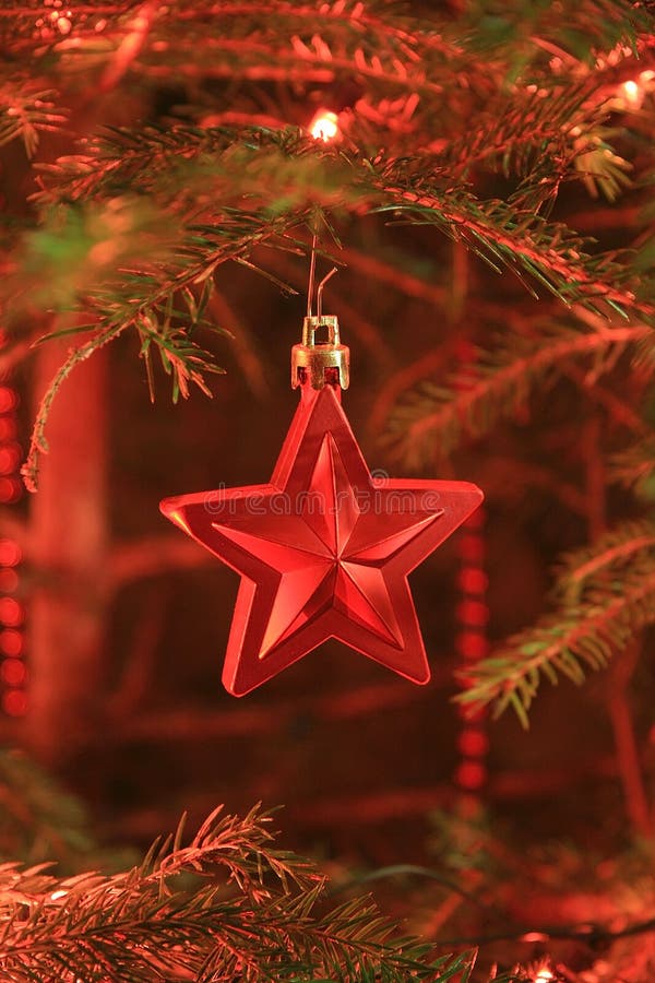 Beautiful Christmas star stock photo. Image of december - 37236702