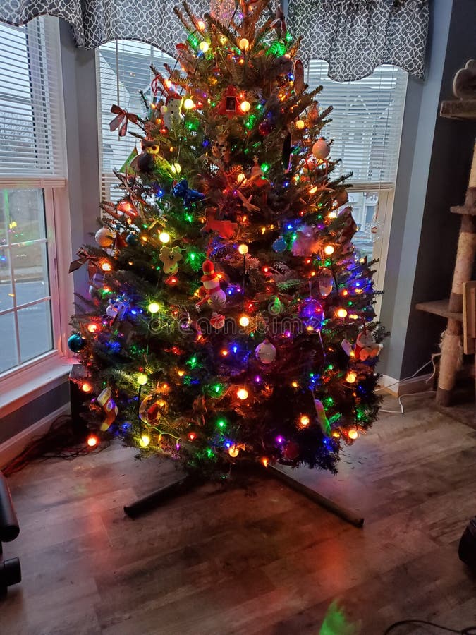 Beautiful Christmas Tree All Lit Up and Decorated Stock Photo - Image ...