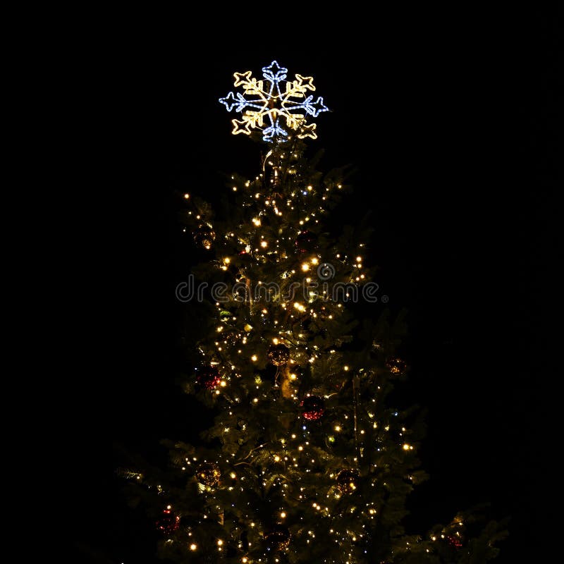 Beautiful Christmas Tree at Night. Stock Photo - Image of illuminated ...