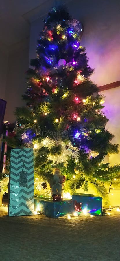 Beautiful Christmas Tree Night Time Stock Image - Image of beautiful ...