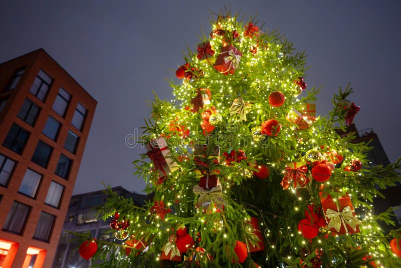 Beautiful Christmas tree stock photo. Image of city - 349183756