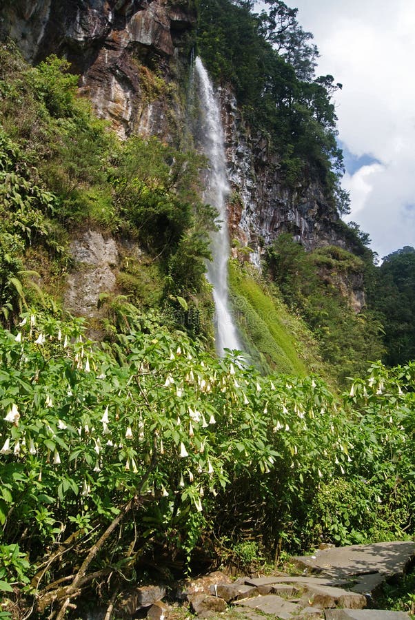 Beautiful Cibeureum Waterfall, West Java, Indonesia Stock Photo - Image ... Beautiful Cibeureum Waterfall, West Java, Indonesia Stock Photo - Image ...