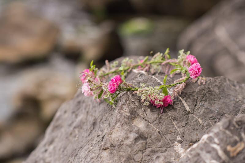 Beautiful Circlet of Flowers. Beautiful Pink Roses and Different ...