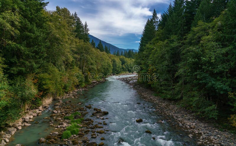 Cispus River Flowing in Summer Stock Photo - Image of woods, summer ...