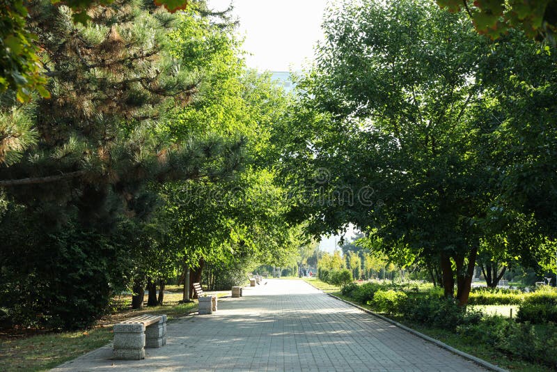 Beautiful City Park in Bright Sunny Morning Stock Photo - Image of ...