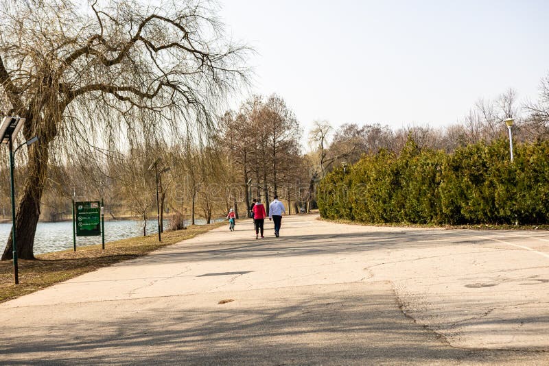Beautiful City Park and People Having Fun in Bucharest, Romania, 2023 ...