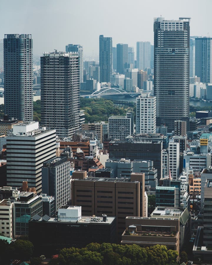 Beautiful Cityscape with Buildings Trees and Bridges during the Day ...