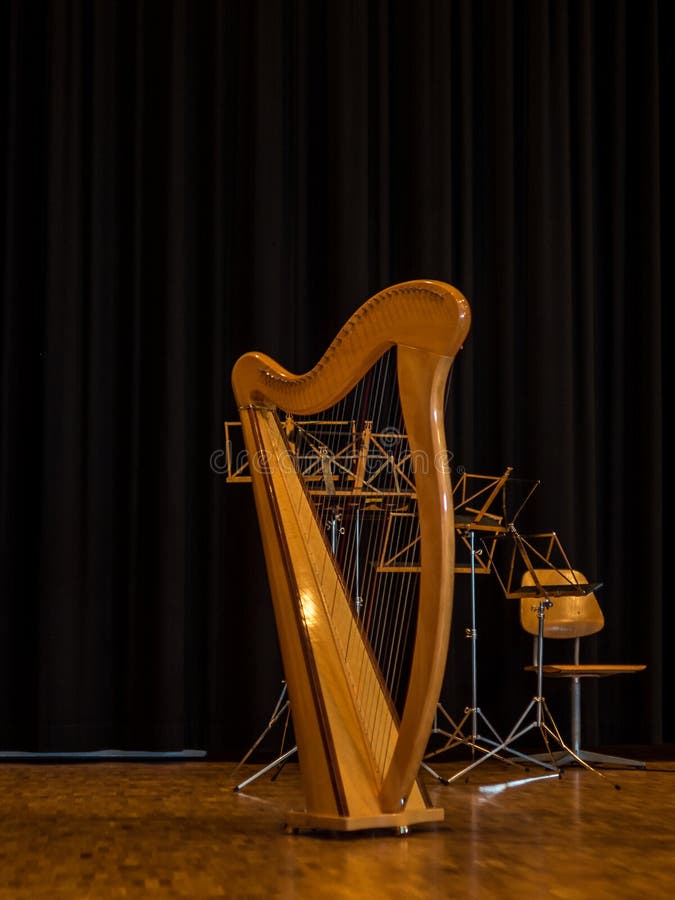 Harp Concert stock image. Image of girl, entertainmant - 22040349