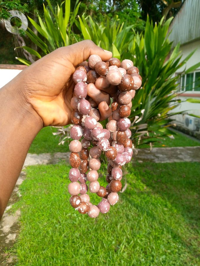 Beautiful clay beat .. stock photo. Image of beautiful - 334156484