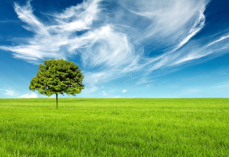 Beautiful Clean Landscape stock image. Image of green - 17792007
