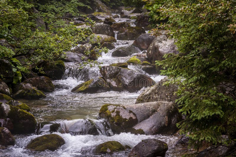 A Beautiful Clean Mountain Stream. Tatra Mountains. Stock Photo - Image ...