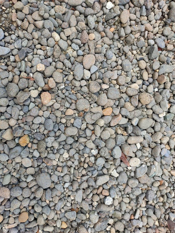 Beautiful Clean Pebbles in Front of the Yard Stock Image - Image of ...