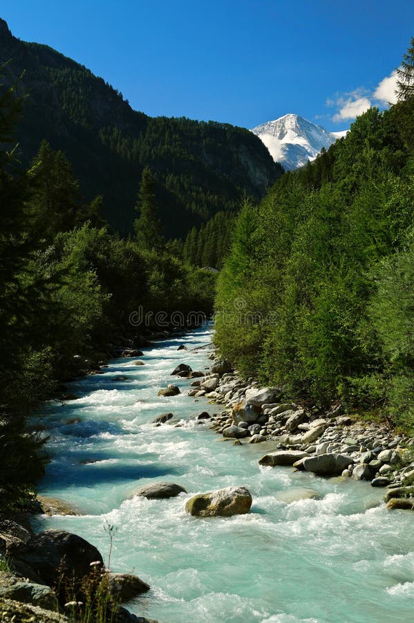 Beautiful Clear Blue Mountain Stream with Green Trees Stock Photo ...