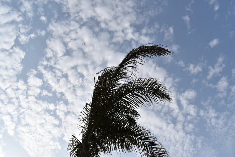 Beautiful Clear Sky with Clouds and Sunny in the Sierra De Lima Stock ...