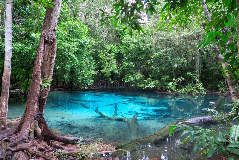 Beautiful and Clear Very Blue Water Pool Stock Image - Image of ...