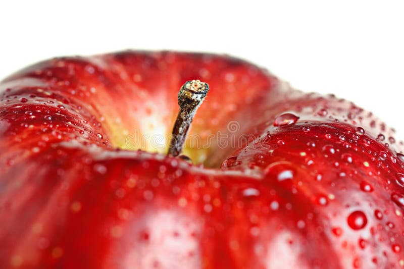 Beautiful close up apple stock image. Image of healthy - 12008227