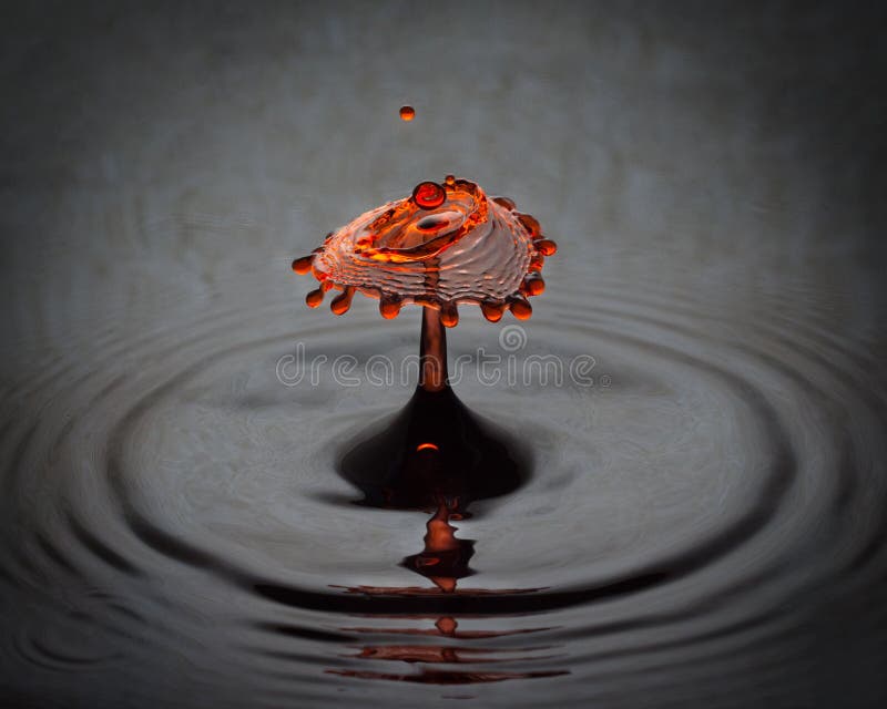 Beautiful Closeup of a Red Water Splash on a Gray Background Shot with ...