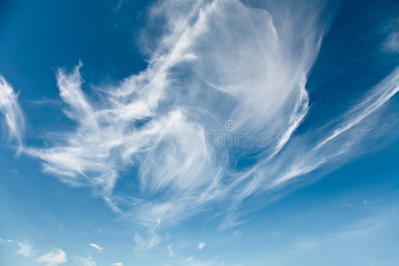 Dove-shaped cloud stock photo. Image of color, curve, doves - 2712766