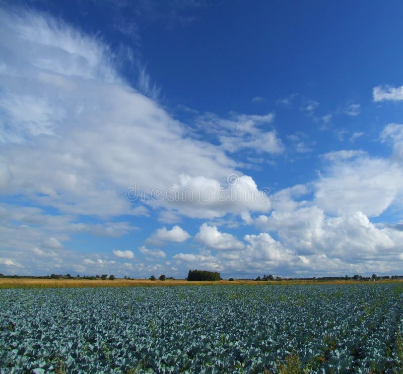 Beautiful Clouds and Blue Sky Stock Image - Image of country, cloud ...