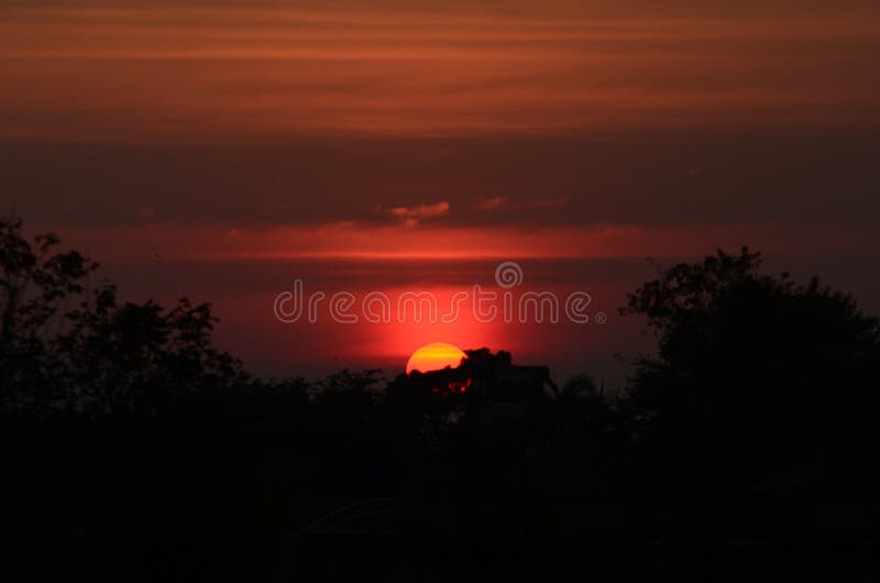 Sunset Sky Clouds Over Tree Tops Silhouettes Panoramic Landscape Stock ...