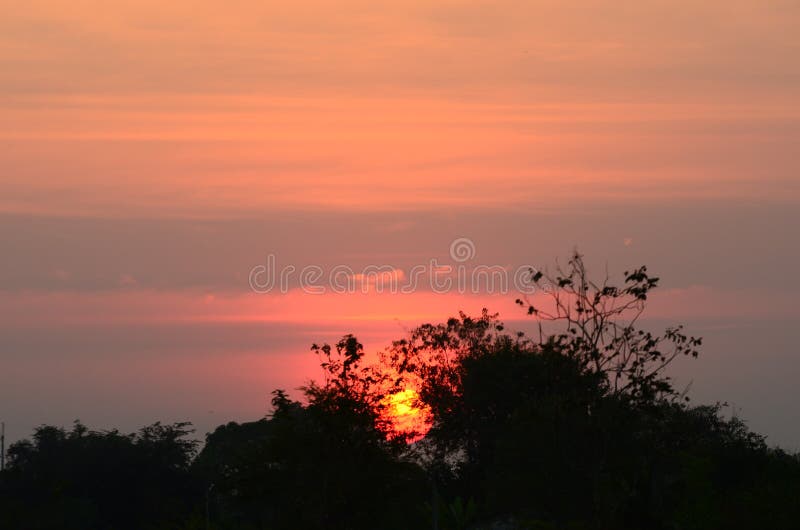 Sunset Sky Clouds Over Tree Tops Silhouettes Panoramic Landscape Stock ...
